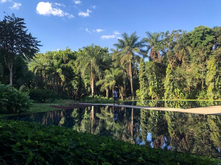 Dicas para visitar o Inhotim – Museu de arte contemporânea a céu aberto